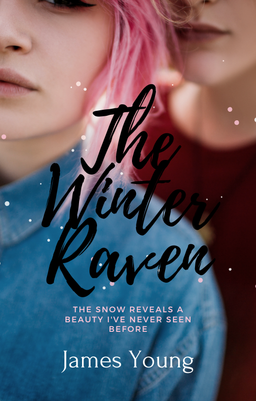 The Winter Raven (James Young) – Seven Story Publishing